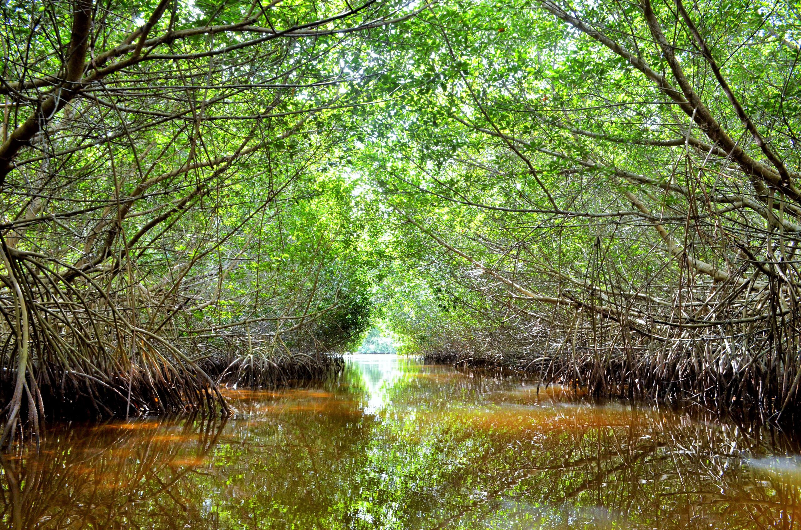 Isla Aguada, nuevo destino ecoturístico en Campeche